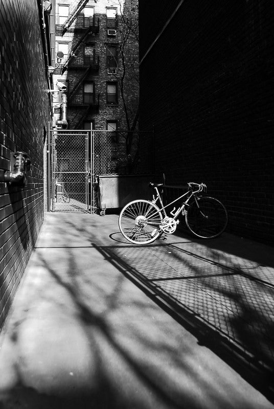 Quarters Only - GlobopStore